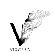 V by Viscera Perfume Collection – VISCERA